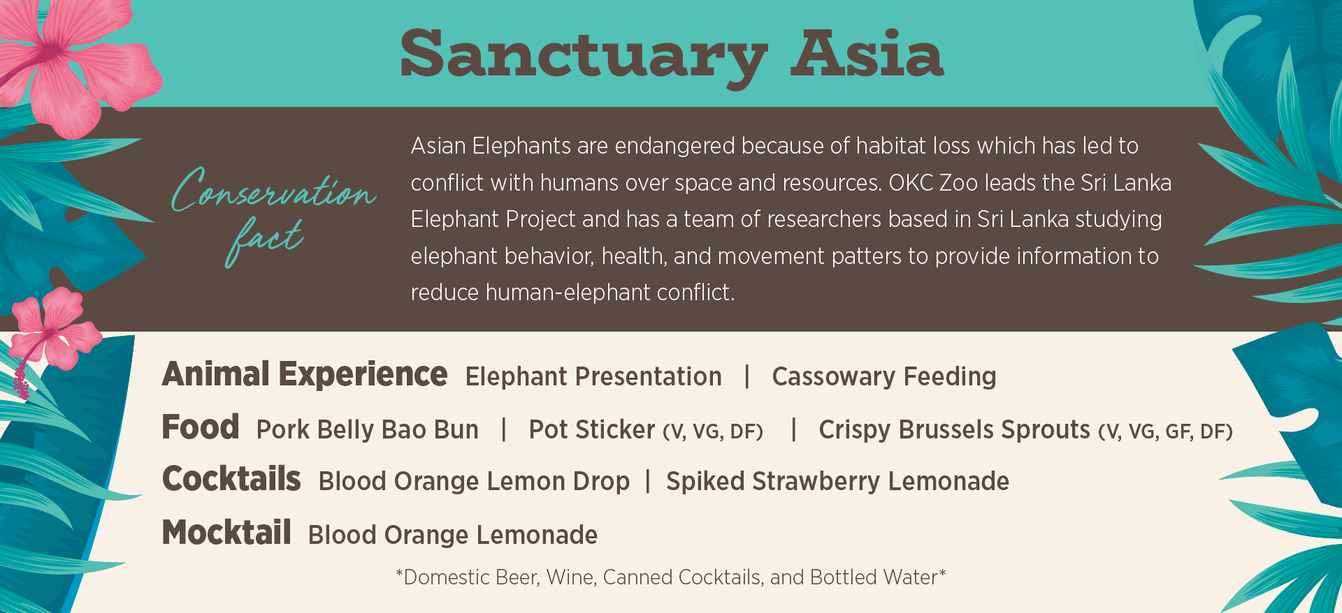 Sip & Stroll Sanctuary Asia